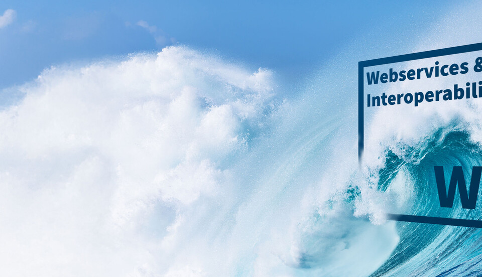 Webservices & Interoperability | CONTACT Software