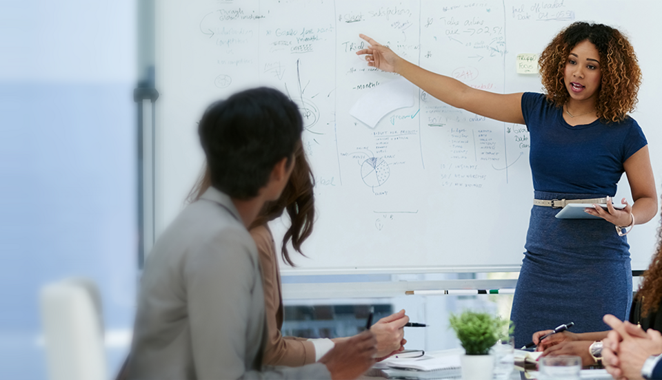 Technical & method consulting | CONTACT Software