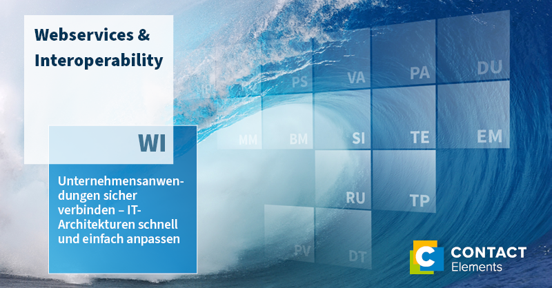 Webservices & Interoperability | CONTACT Software
