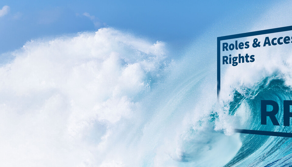 Roles & Access Rights | CONTACT Software