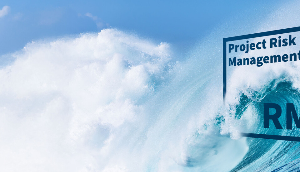 Project Risk Management | CONTACT Software