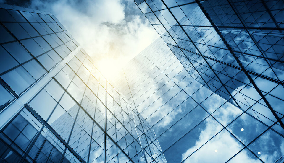 Management | CONTACT Software